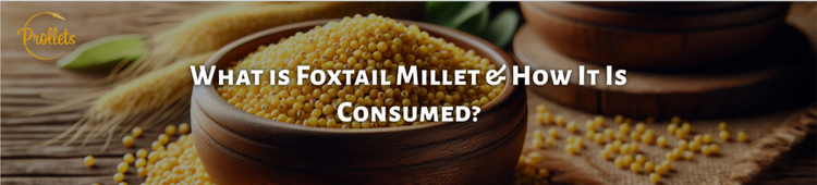 What is Foxtail Millet? : Names, Benefits, Uses & How to Eat It – Prollets